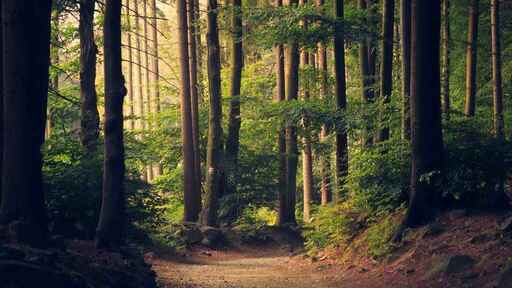 10 Personal Narrative Examples to Inspire Your Writing