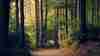 10 Personal Narrative Examples to Inspire Your Writing