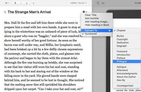 Vellum Review: Read This Before Using It!