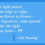 How to Write a Poem: Get Tips from a Published Poet